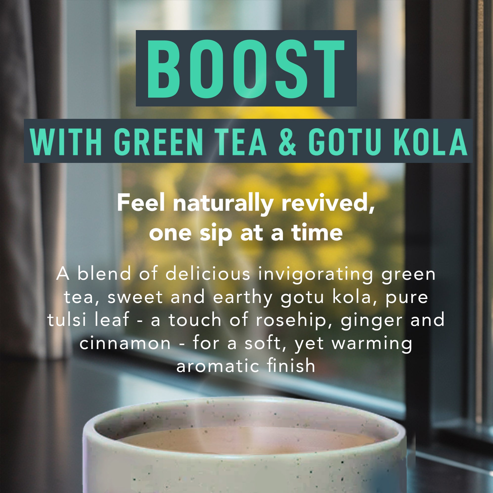 Nootropic Boost 15 Teabags– Higher Living Teas
