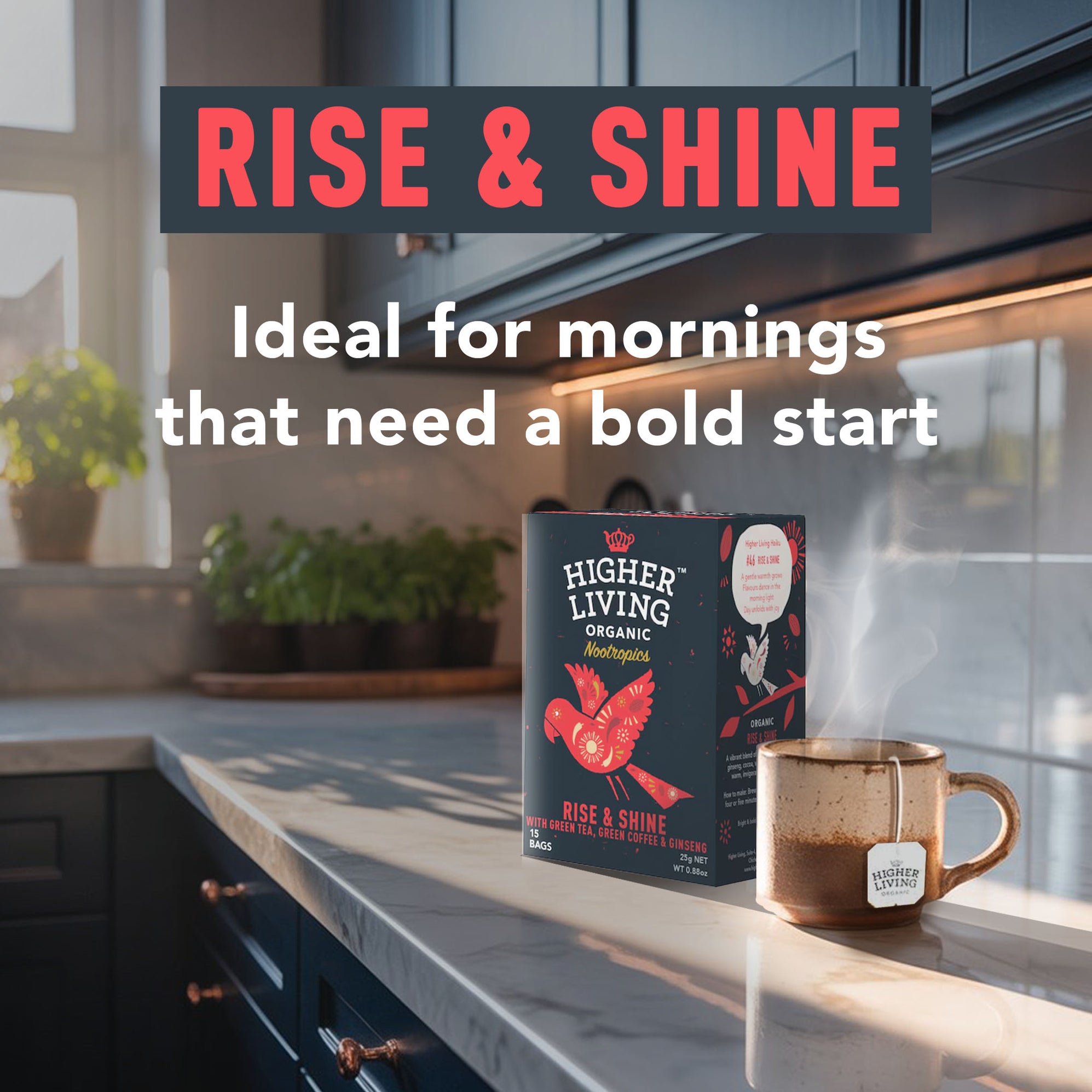 Nootropic Rise & Shine 15 teabags– Higher Living Teas